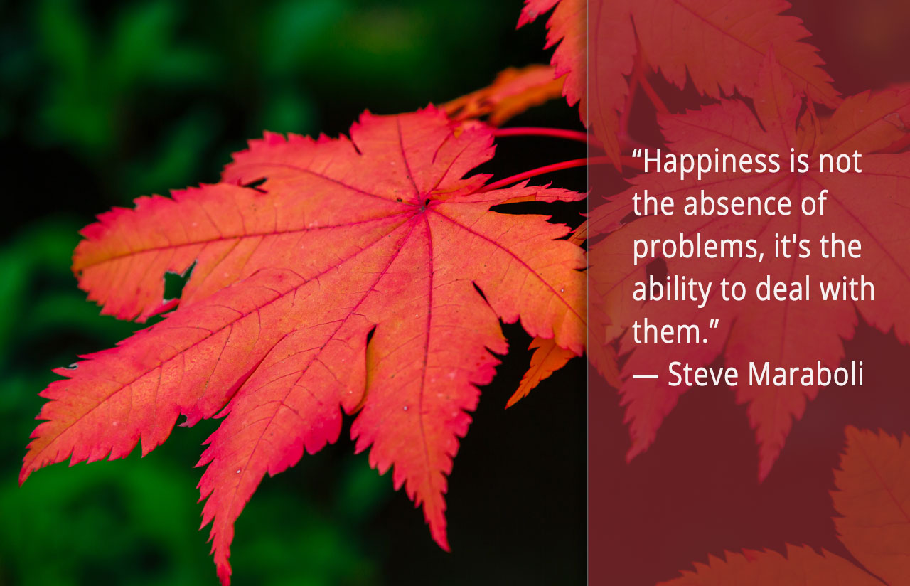 Happiness from Problems - Your Spiritual Growth Center